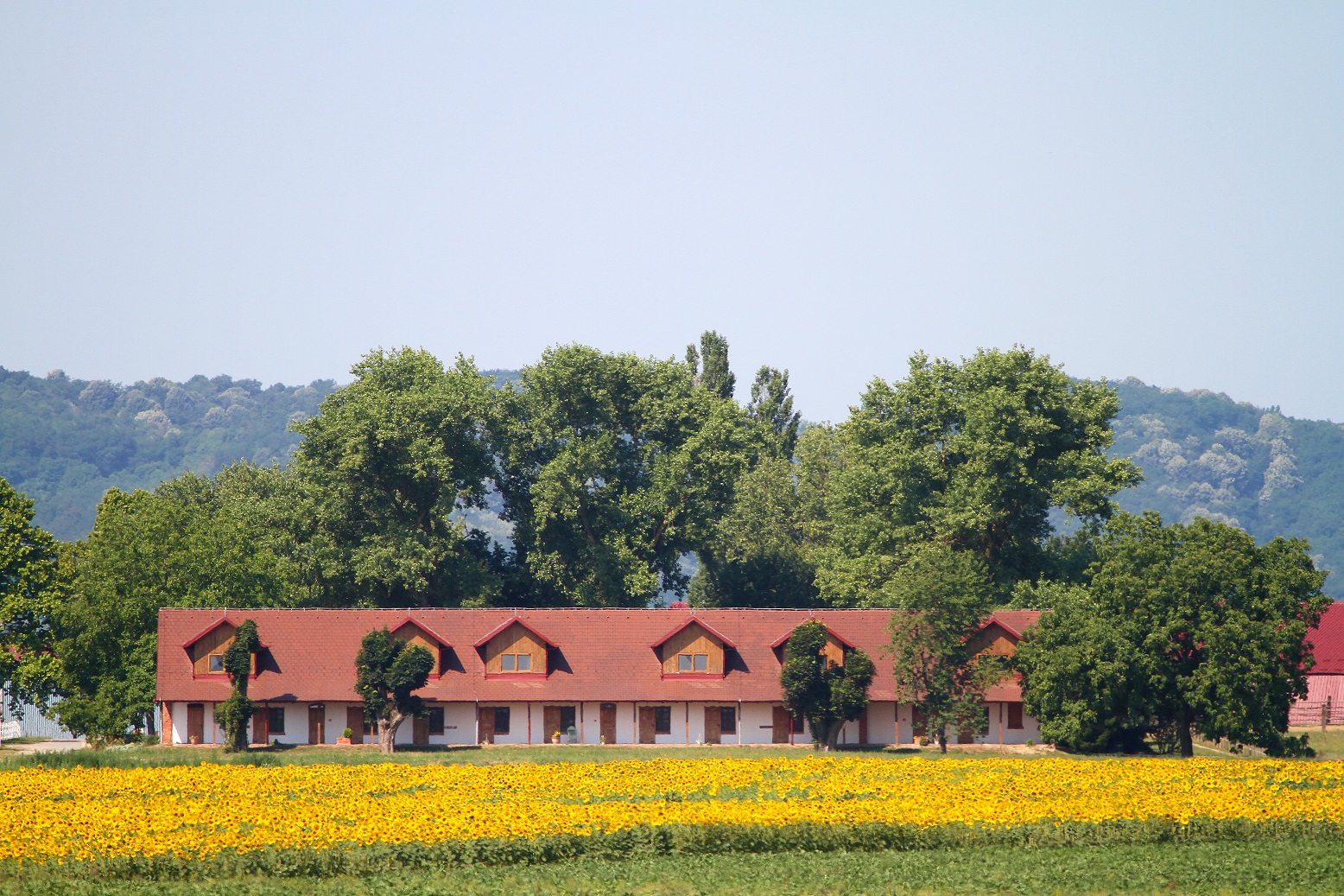 Facilitation Groundwork – revisiting foundations – Centre for ...